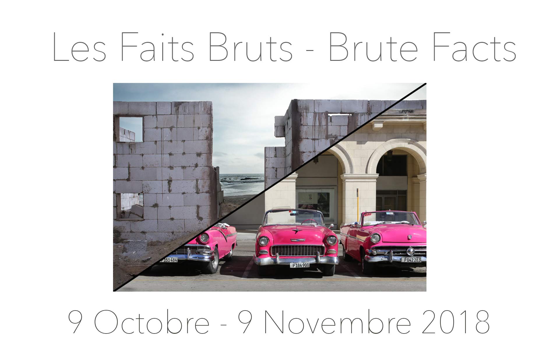 Brute Facts – Galerie Umcebo